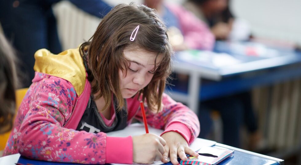 Understanding Developmental Disabilities | Key Insights